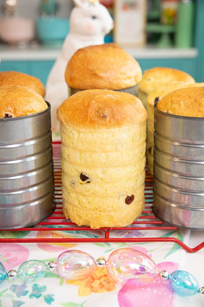 Easter Bread (Ukrainian Babka Recipe)
