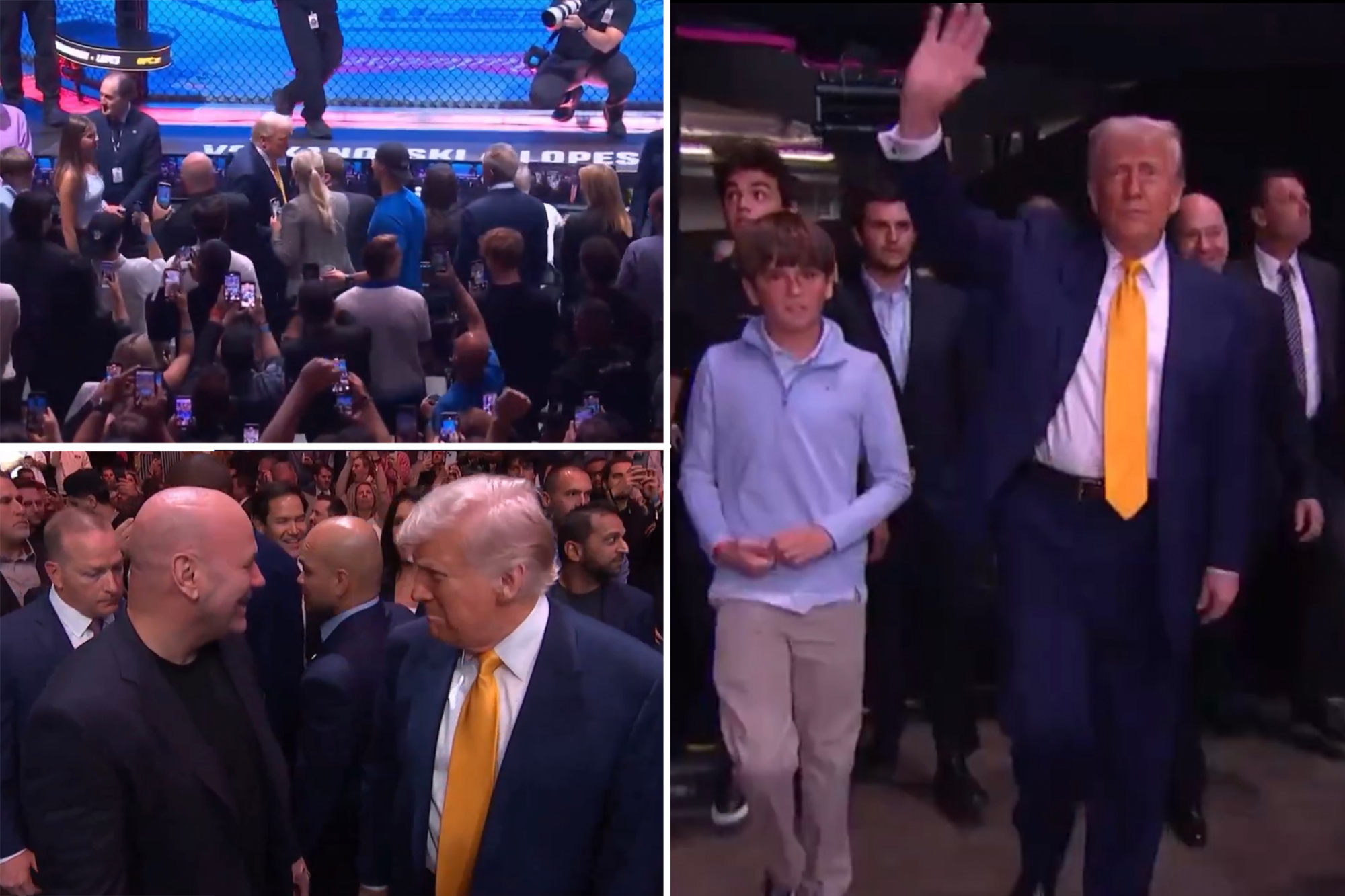 Trump attends UFC fights in Florida with star-studded cast — and ...