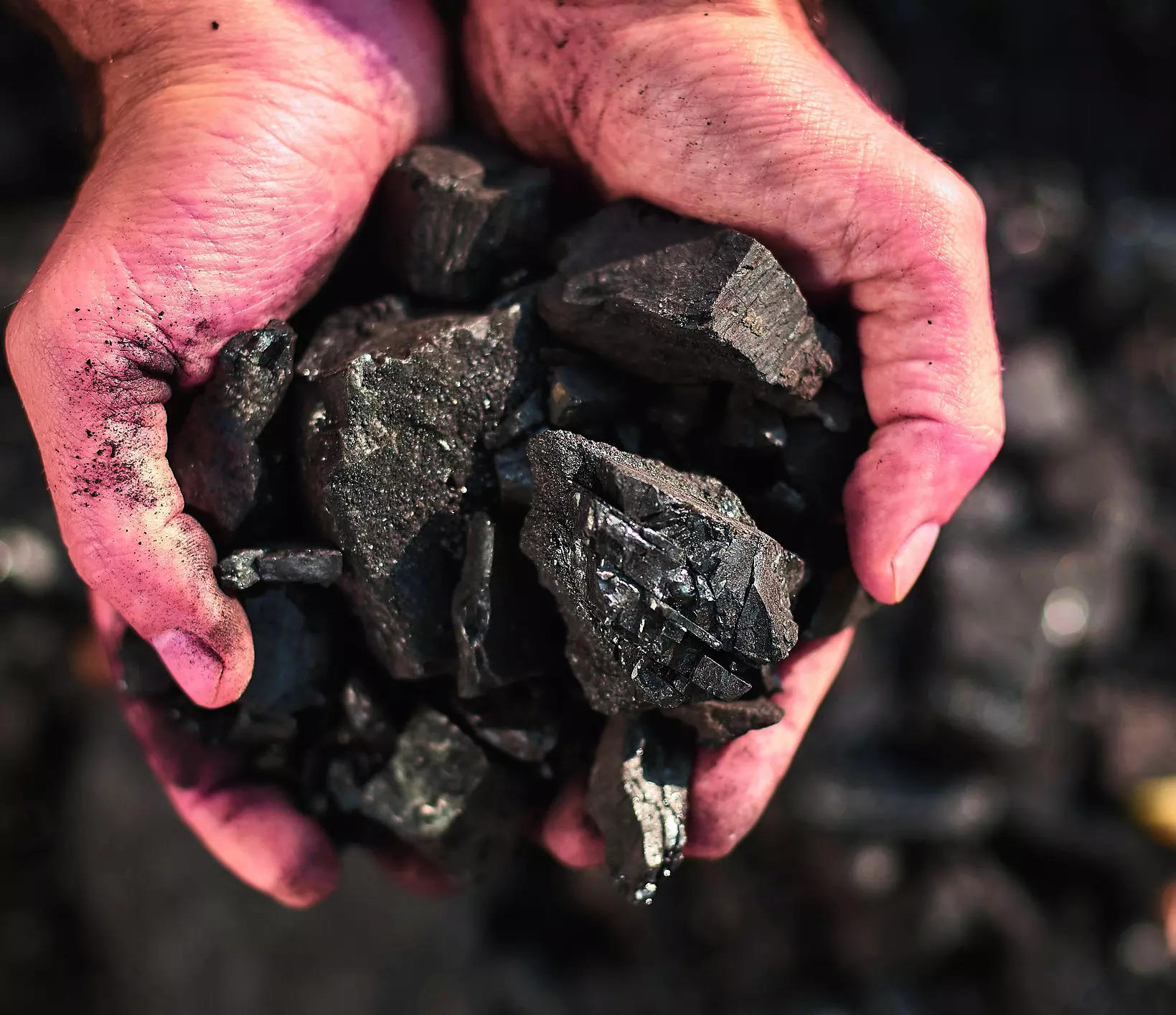 India's coal import declines marginally in Apr-Feb period