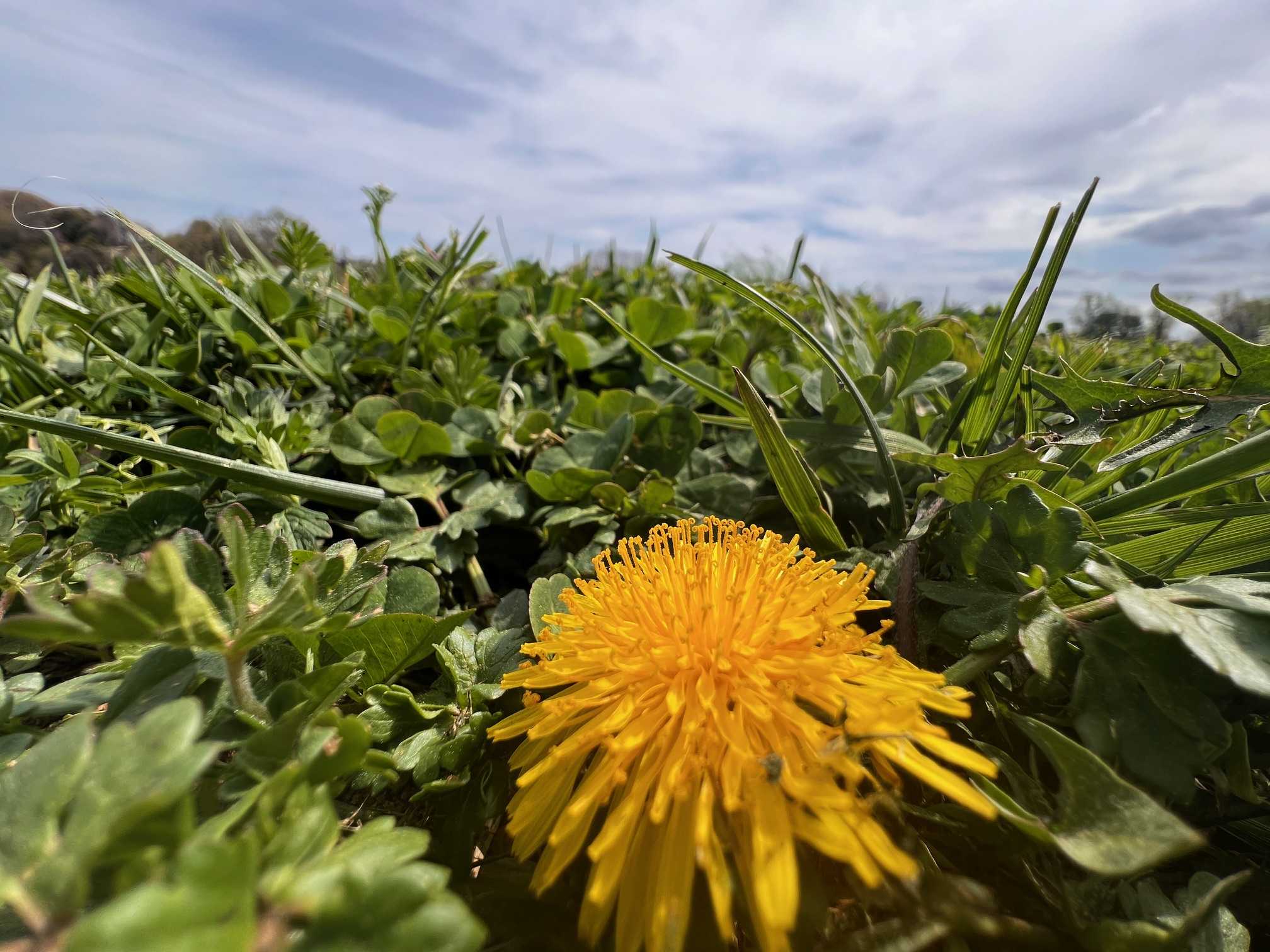 Triad temperatures spike ahead of cool down, little rain