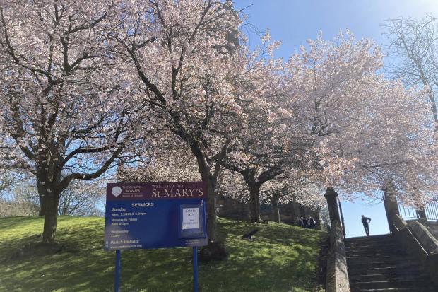 Leader Camera Club in full bloom with blossom gallery