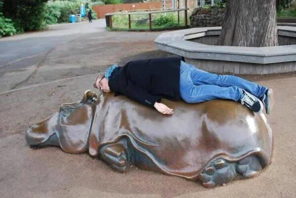 45 Funny And/Or Random Pictures For Your Daily Dose Of Randomness ...