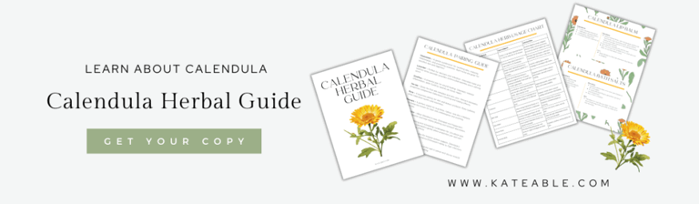 DIY Calendula Infused Oil