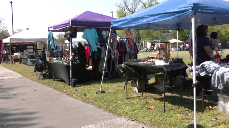Vendors and visitors gather for Market in the Park