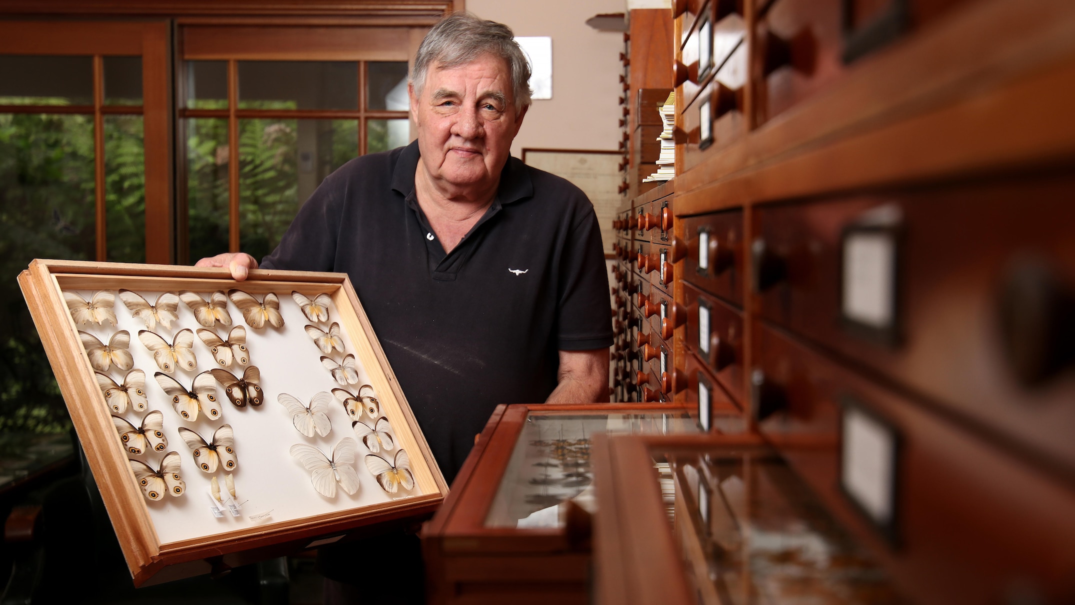 Butterfly collector's lifelong search for rare species sees collection grow