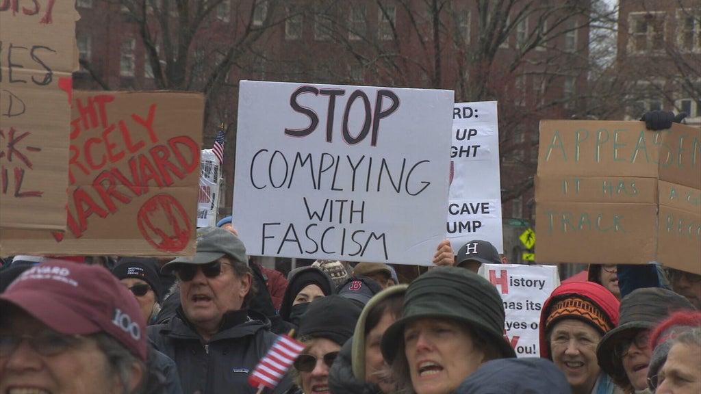 Protesters gather in Cambridge to demand Harvard University protect ...