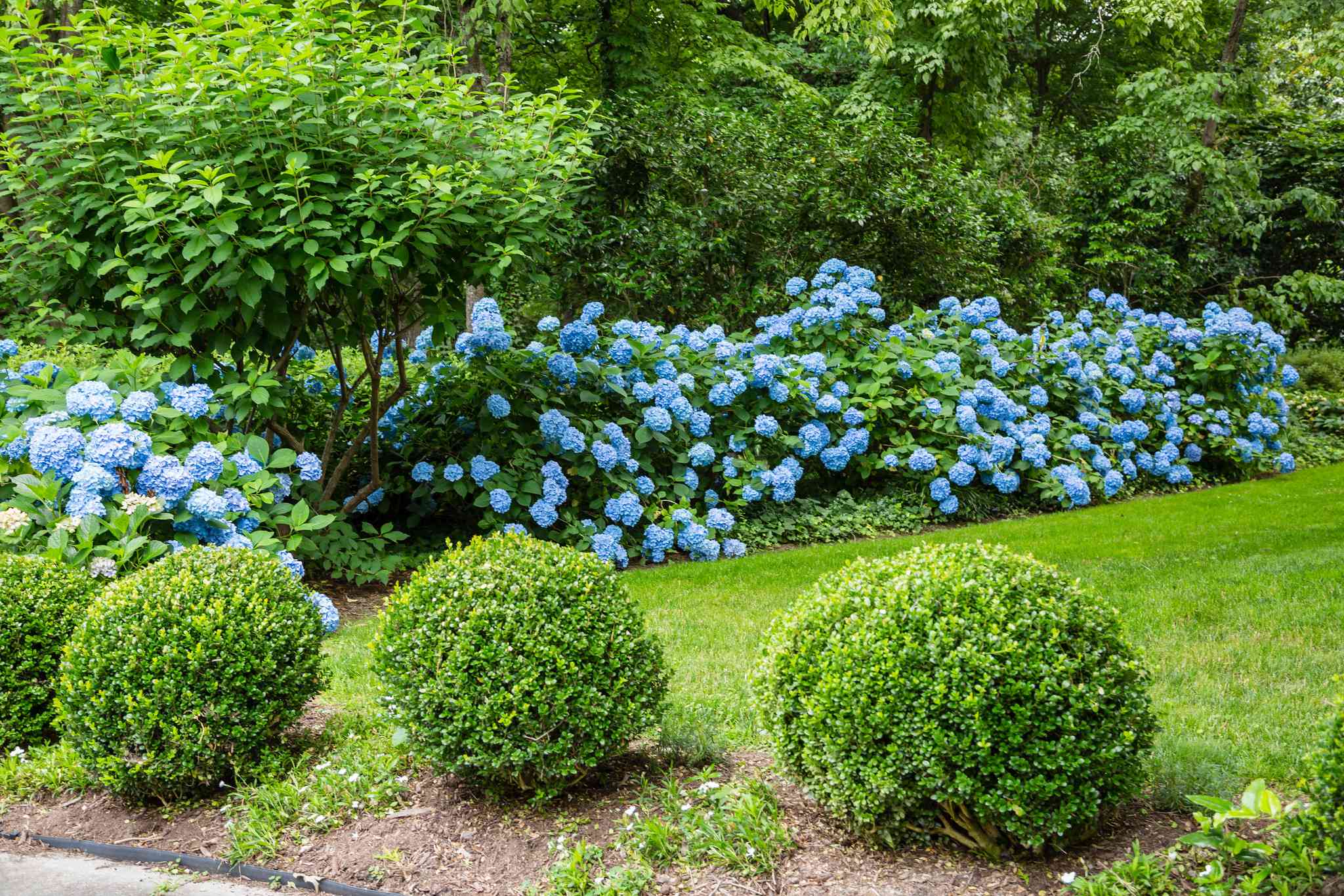 Virginia’s Historic Garden Week Is A 96-Year-Old Tradition With Over ...
