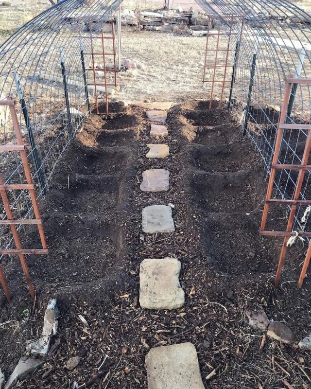 Gardener shares 'fascinating' image of yard transformed by 4,000-year ...