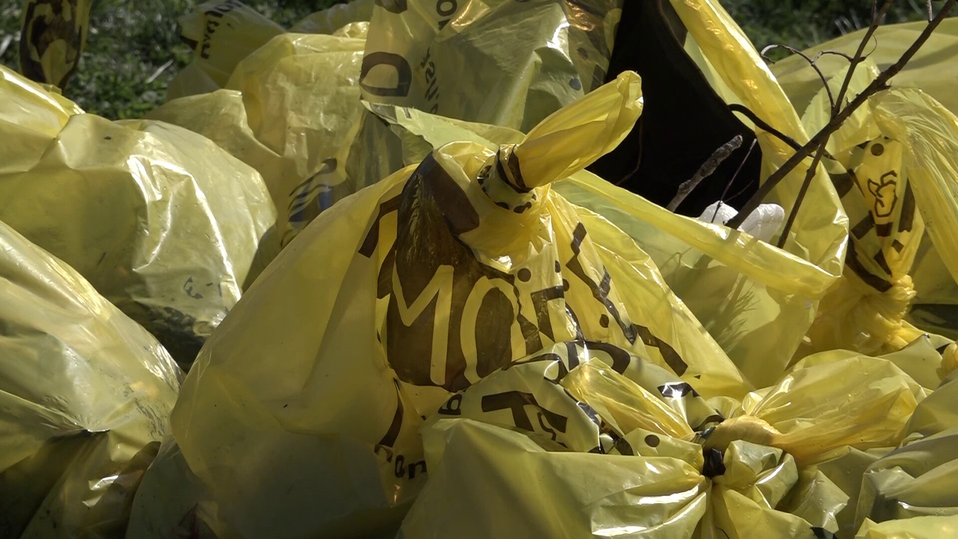 Volunteers show up in a big way as part of Springfield’s Clean Green events