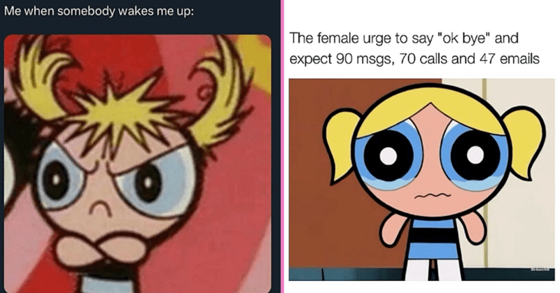 24 Powerpuff Girl Memes for the Ladies Who Are Equal Parts Sugar, Spice ...