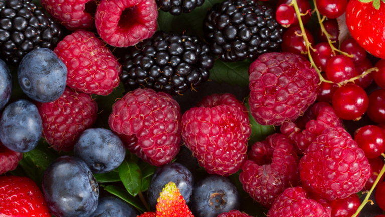 8 Healthiest Berries You Could Ever Eat