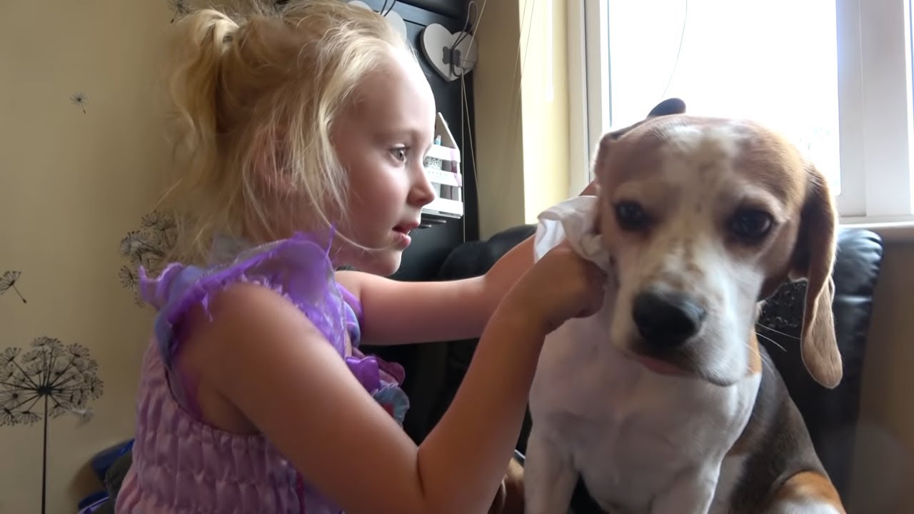 Child learns the hard way to clean her dog’s ears