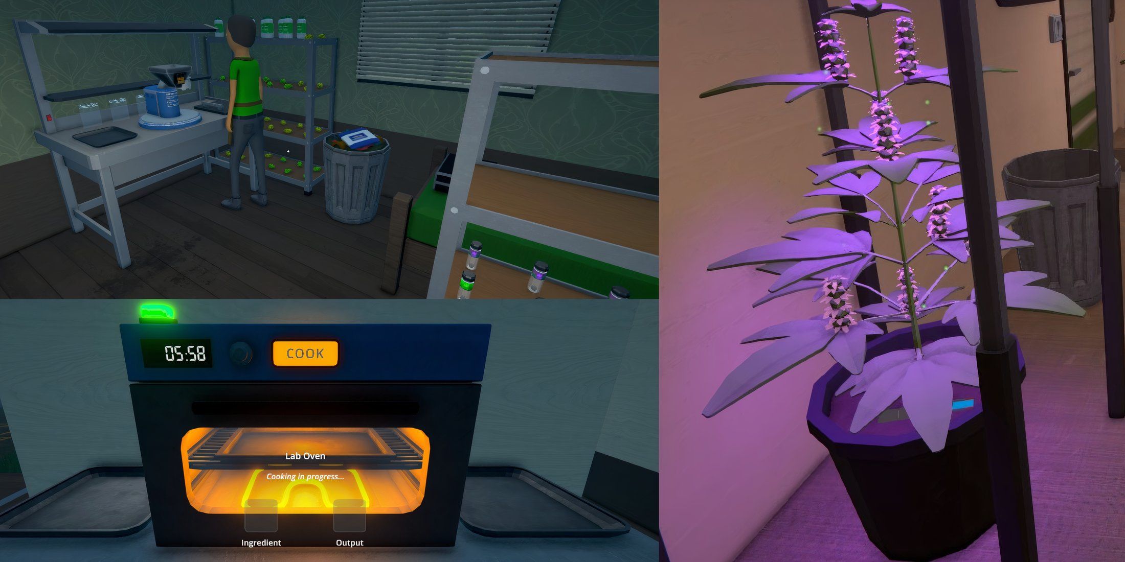 Schedule 1: The Best Sweatshop Layouts, Ranked