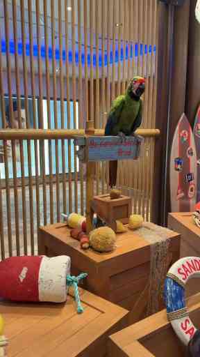 A Look At Royal Caribbeans' Allure of the Seas After Her 100 Million ...