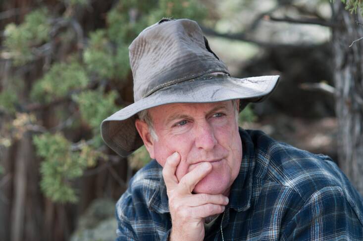 Quick Takes With: Doug Tallamy