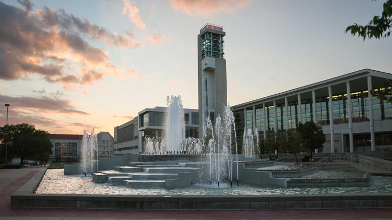David Richards, who spent 19 years with MSU Libraries, returns to ...