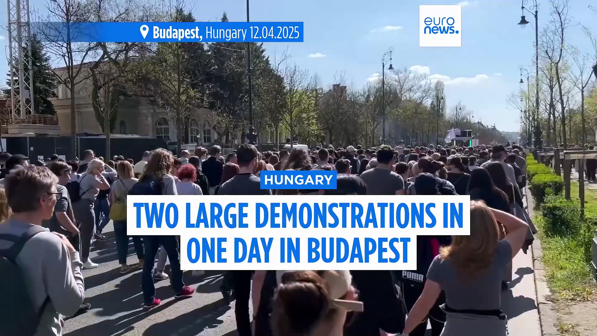 Hungarian Two-tailed Dog Party stages largest protest to date against ...