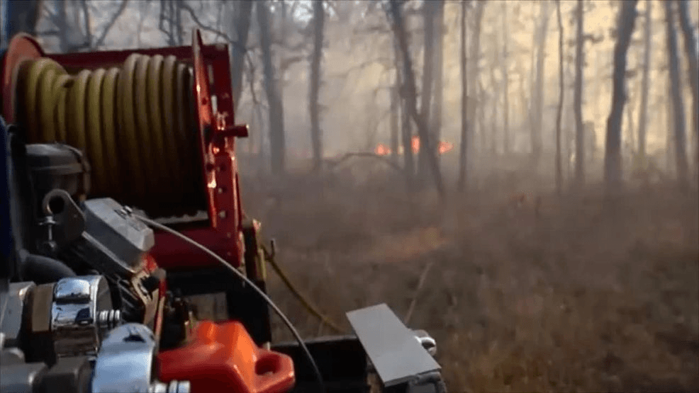 Gov. Stitt announces new wildfire response group following forestry chief termination