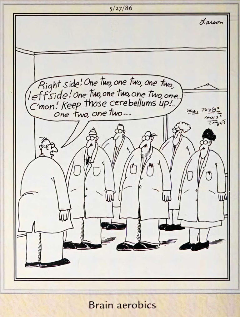 Dummies vs Genius: 10 Far Side Comics That Poke Fun At Smart People