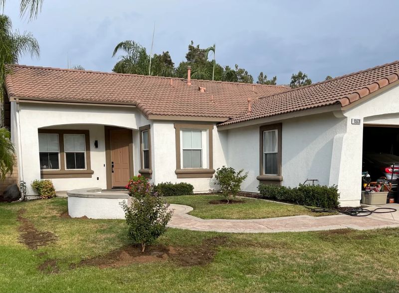 Homeowner unveils striking yard makeover after abandoning traditional ...