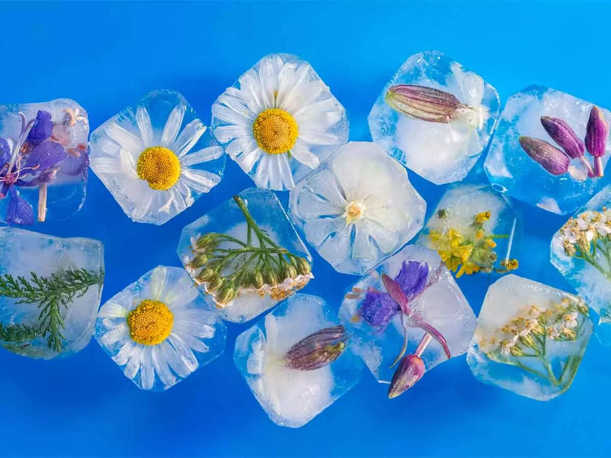 6 smart ice cube hacks to stay cool this summer