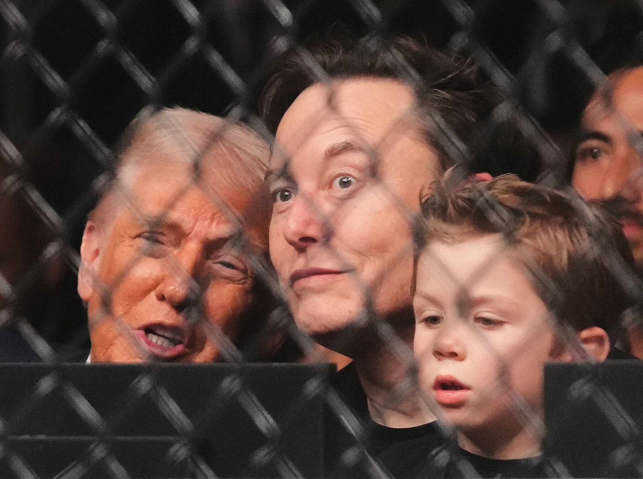 Donald Trump und Elon Musk beim UFC-Kampf - auch Sohn X (4) ist dabei