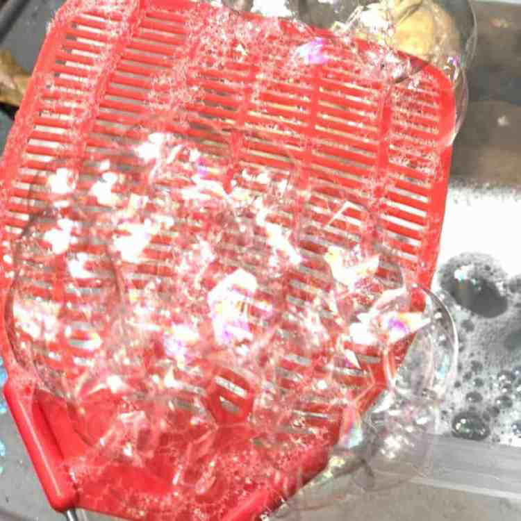 Backyard Summer Fun Ideas for Kids: Easy & Exciting Outside Play