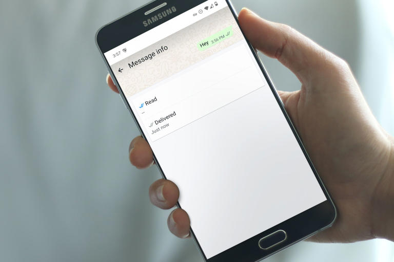 Decoding WhatsApp Check Marks: What They Really Mean for Your Chats