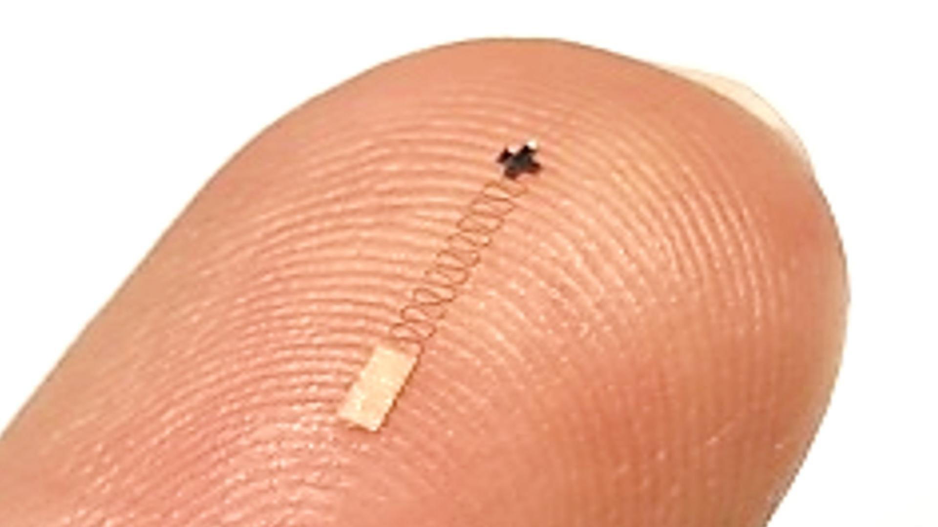 New nanoscale brain sensor exhibits 96.4% accuracy in identifying ...