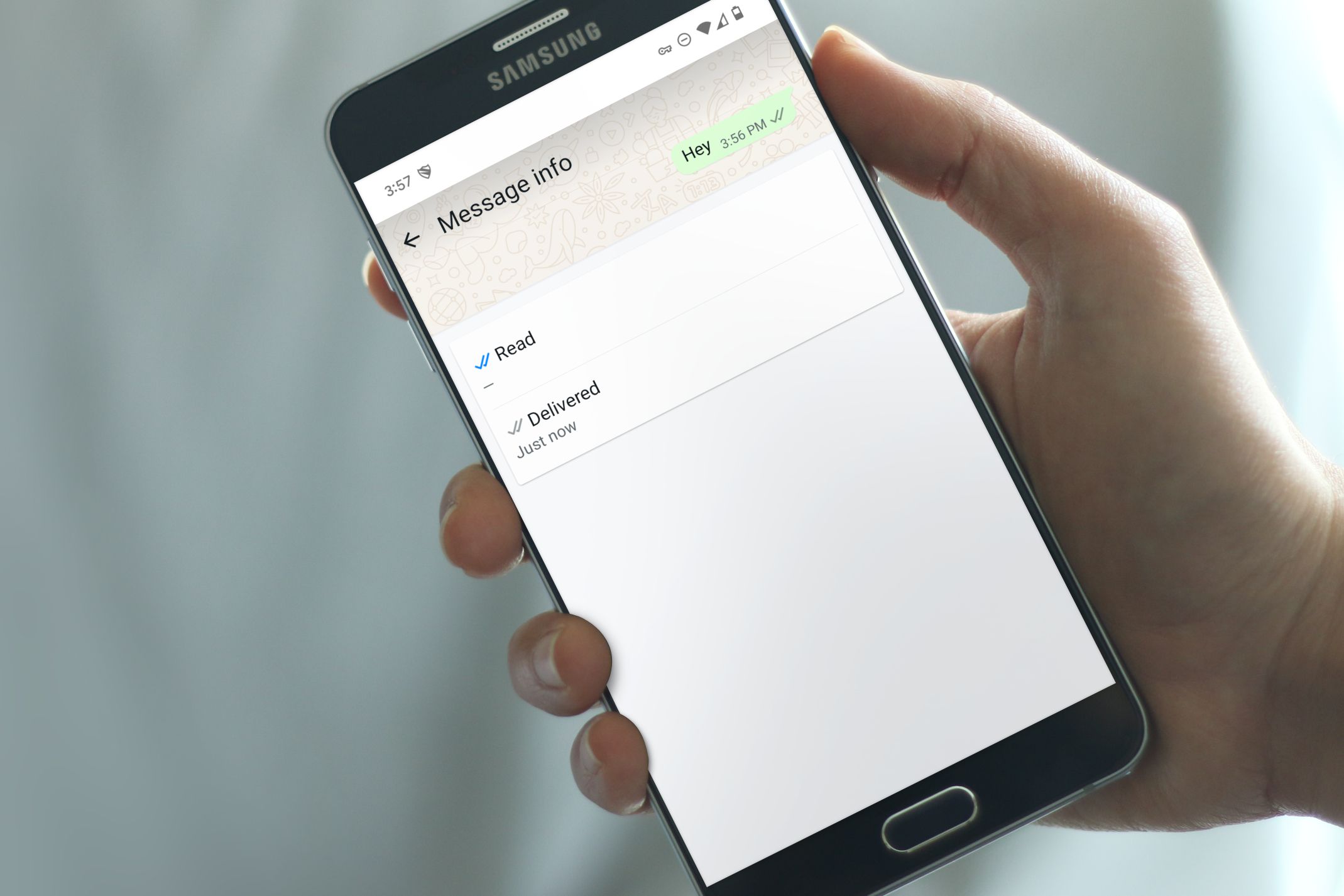 Decoding WhatsApp Check Marks: What They Really Mean for Your Chats