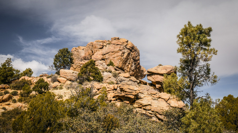 Hidden In Arizona's Hualapai Mountains Is A Desert Park With Cozy ...