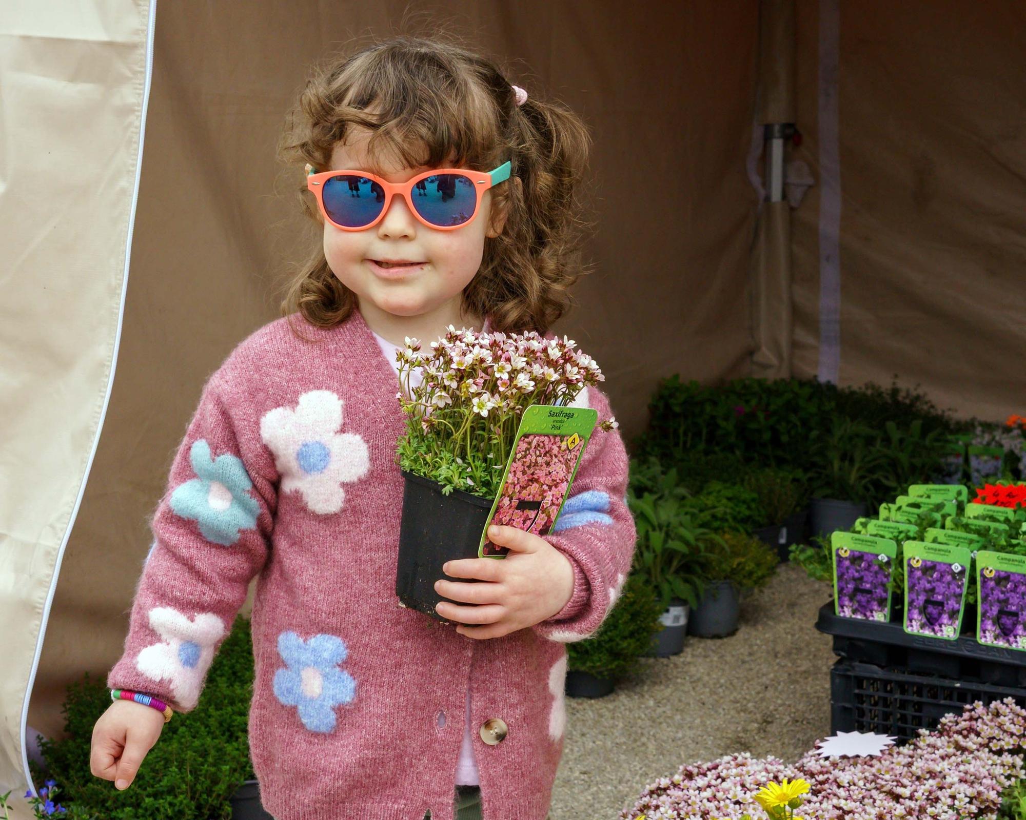 Blooming marvellous! Spring Plant Fair at Antrim Castle Gardens - 9 images