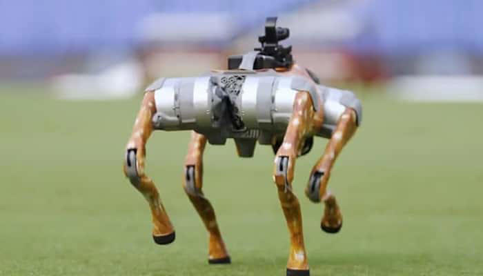 IPL 2025: 'Robot Dog' joins broadcasting team; Interacts with DC and MI ...