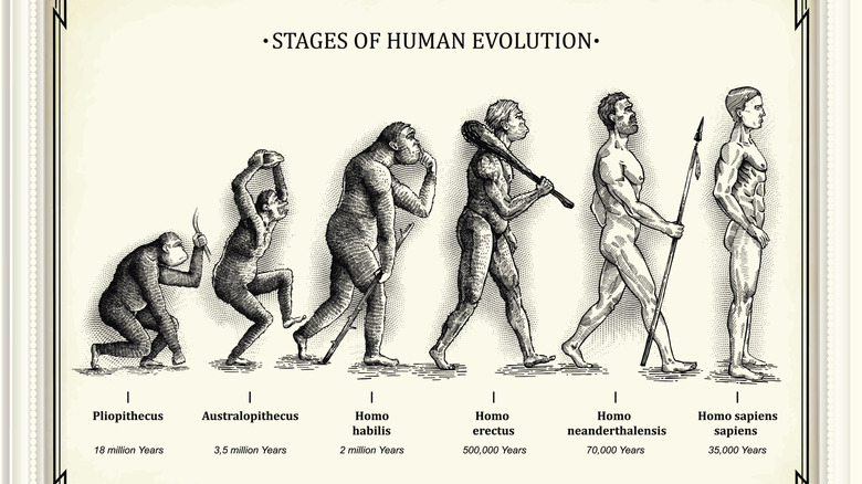 10 Gross Adaptations Humans Evolved