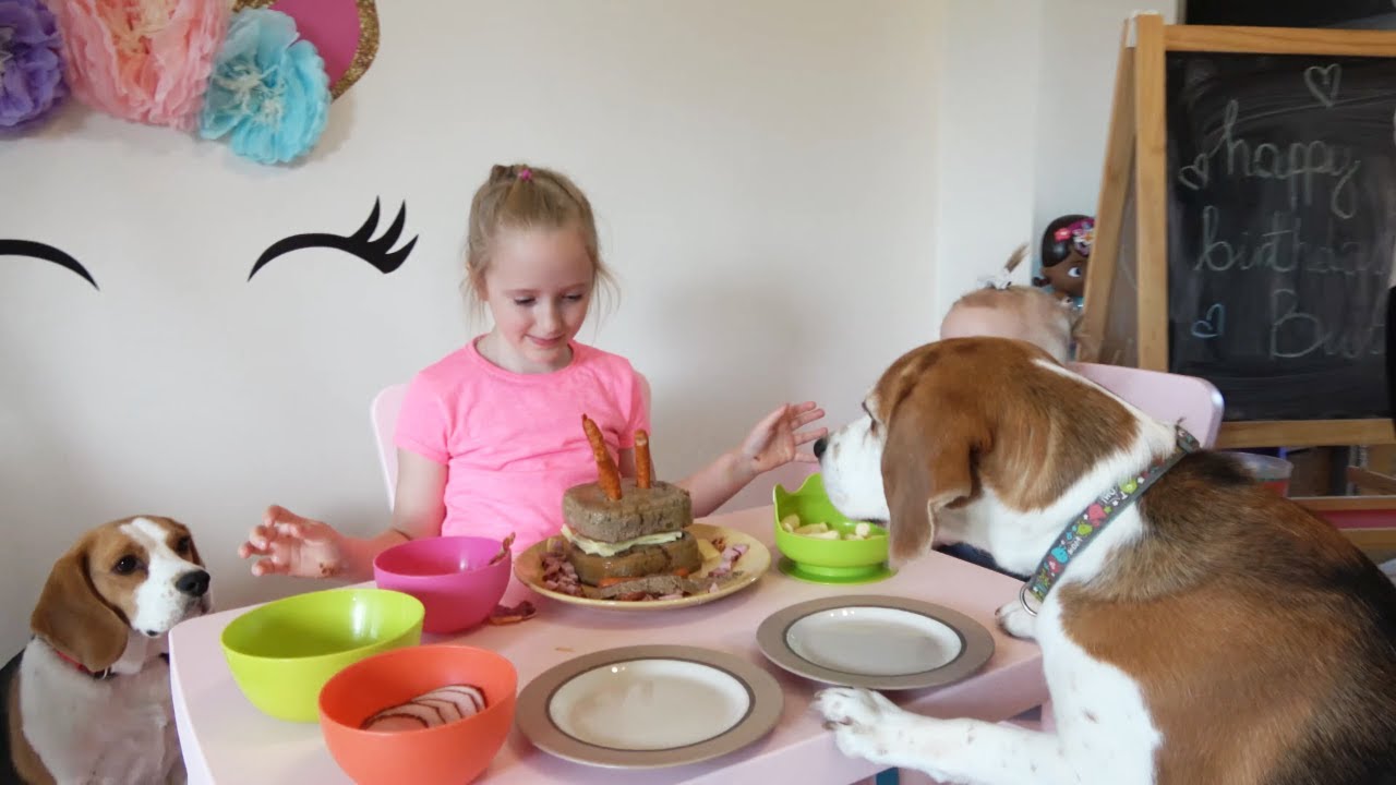 Cute dogs go wild over cake and birthday surprises