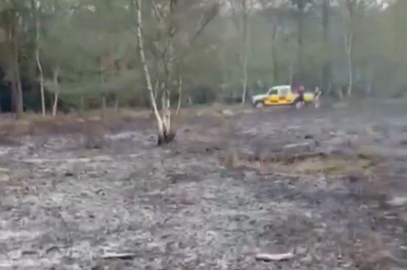 Fire on Sheet's Heath Common near Woking destroys wildlife habitat
