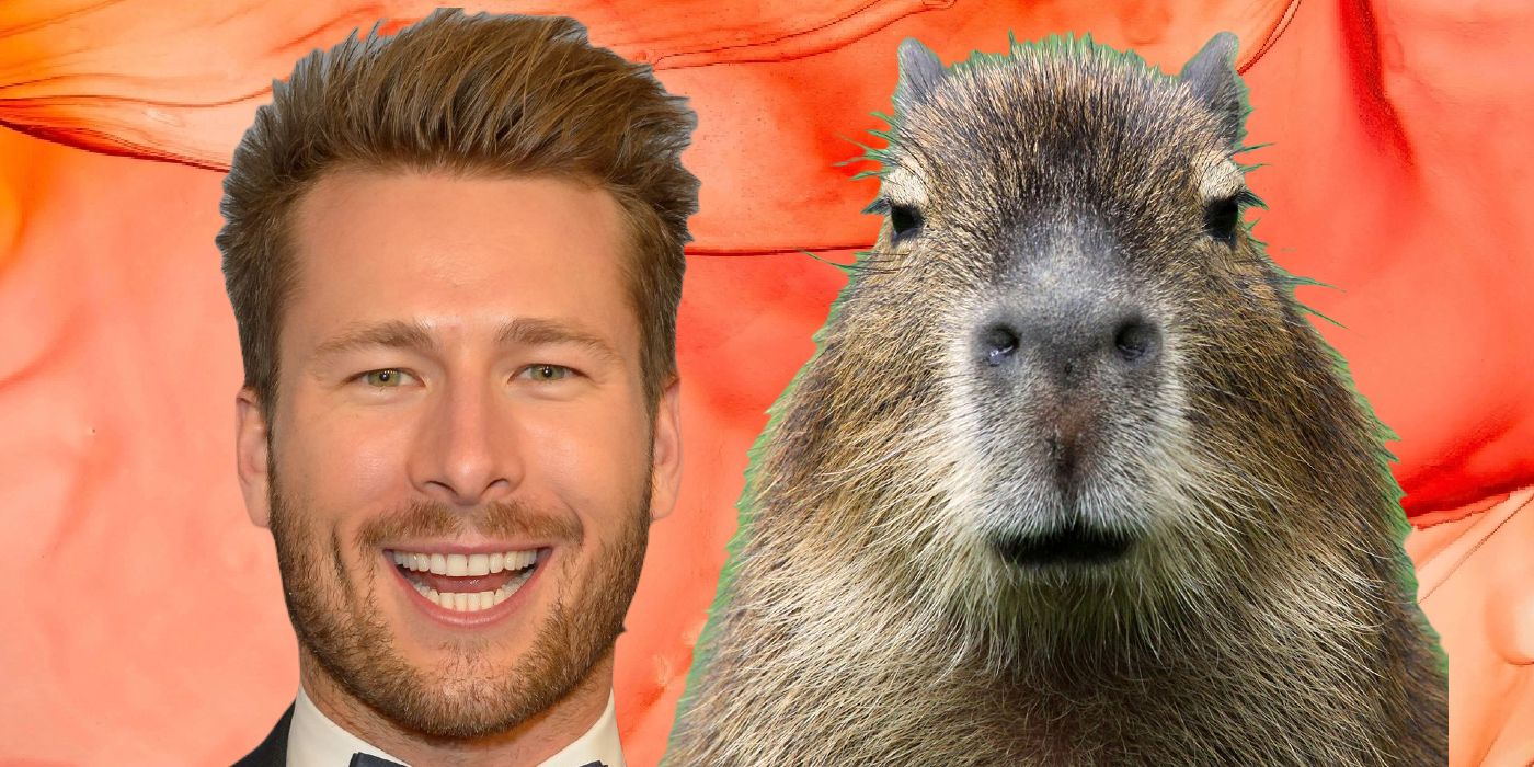 I Can't Unsee Glen Powell As A Capybara — The Viral Meme Explained