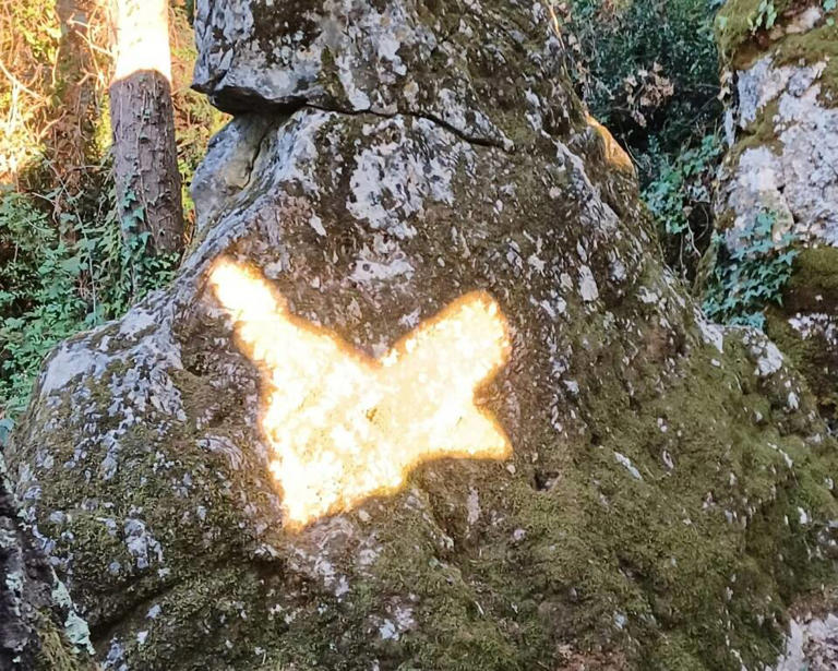 Visite alla Farfalla dorata passando per antichi borghi, vie di lizza e ...