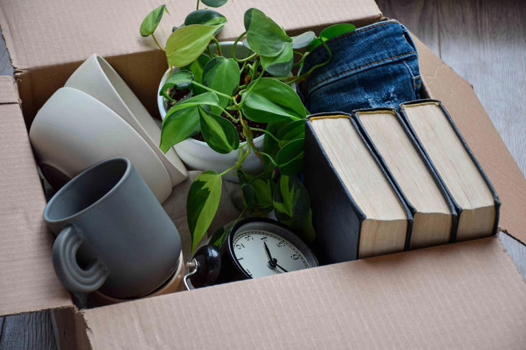 The 10-Items-a-Day Decluttering Challenge Is the Solution to Chronic ...