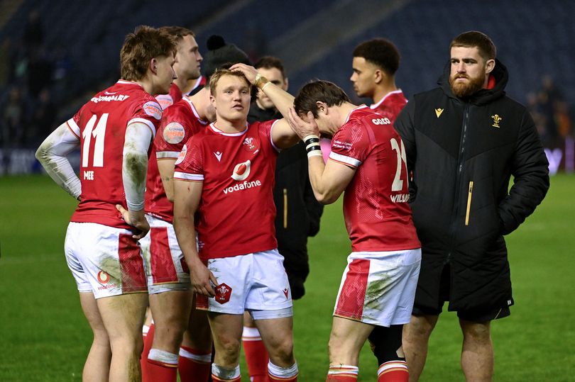 Wales star targets Lions tour as rugby world devastated by England ...