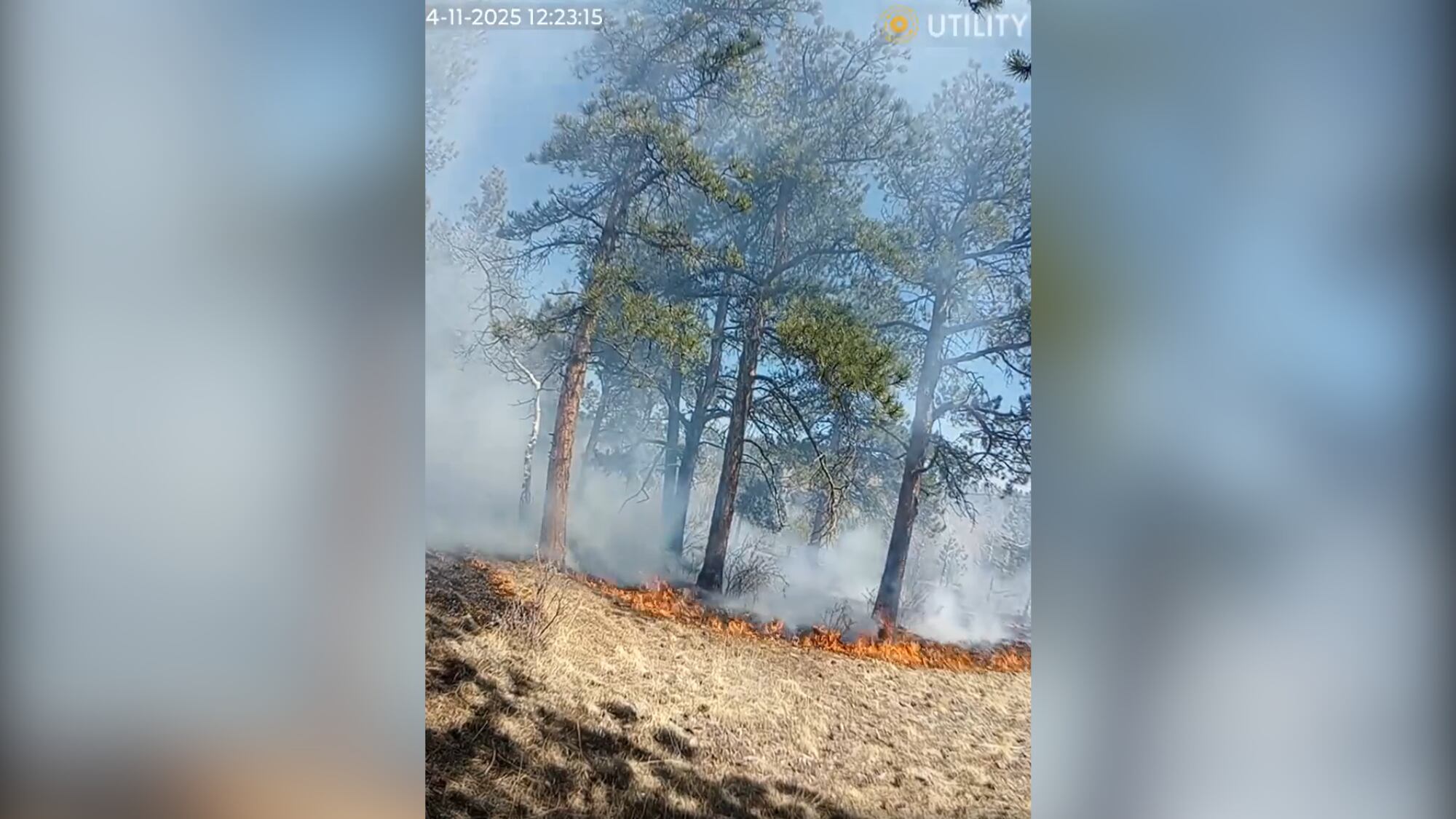 Several crews knock down Jubilee Fire in northern Colorado
