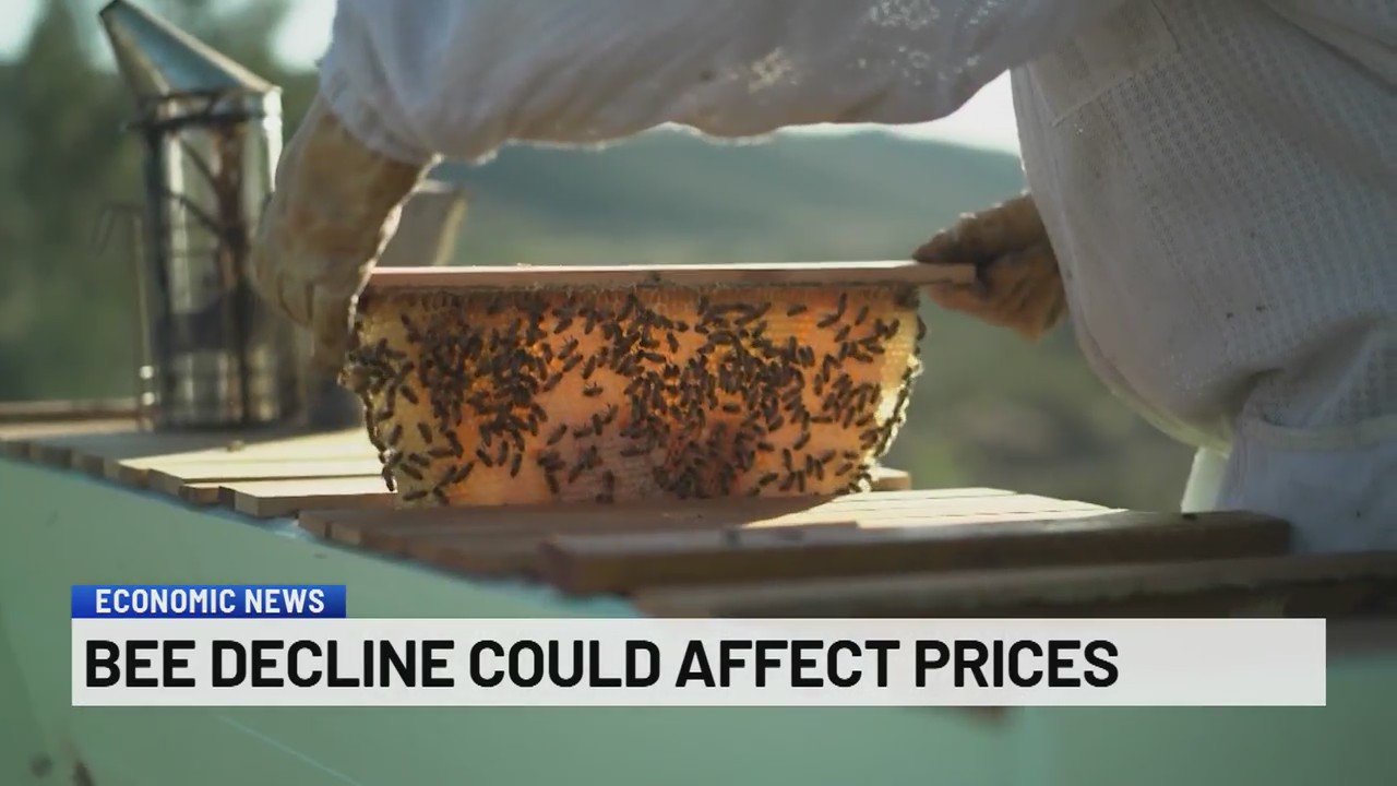 Bee decline could affect prices