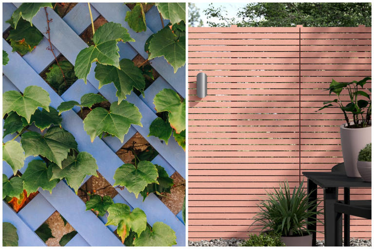 19 trending fence paint colours for a spring garden makeover