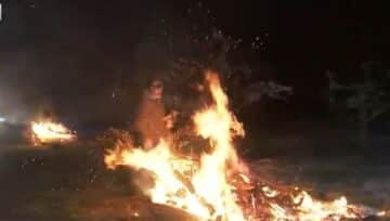 Linvilla Starts Fires to Keep Peaches Safe From a Spring Freeze