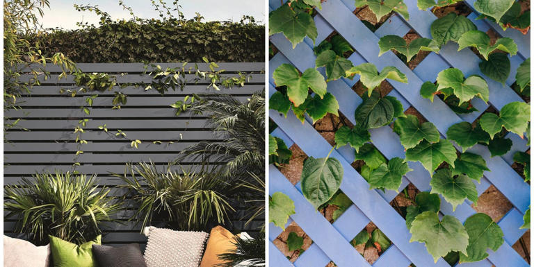 19 trending fence paint colours for a spring garden makeover