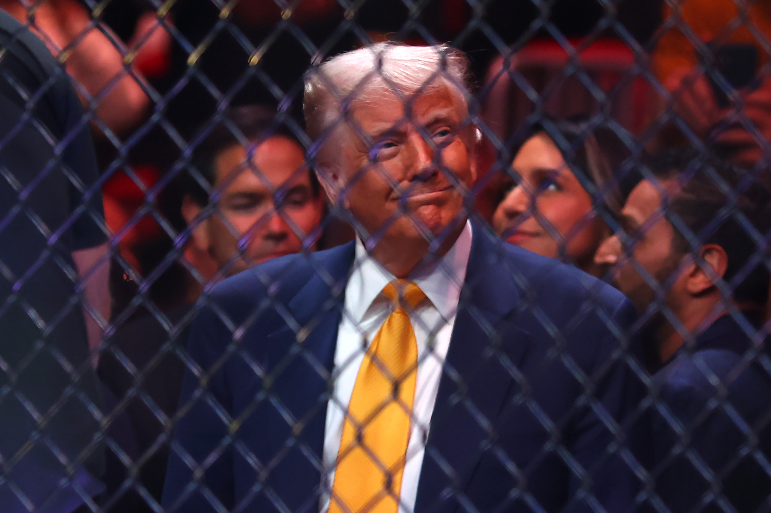 President Donald Trump attends UFC 314 in Miami