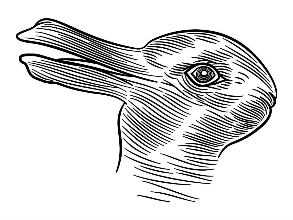 Duck or rabbit illusion debunked: What you see first isn’t just a trick ...