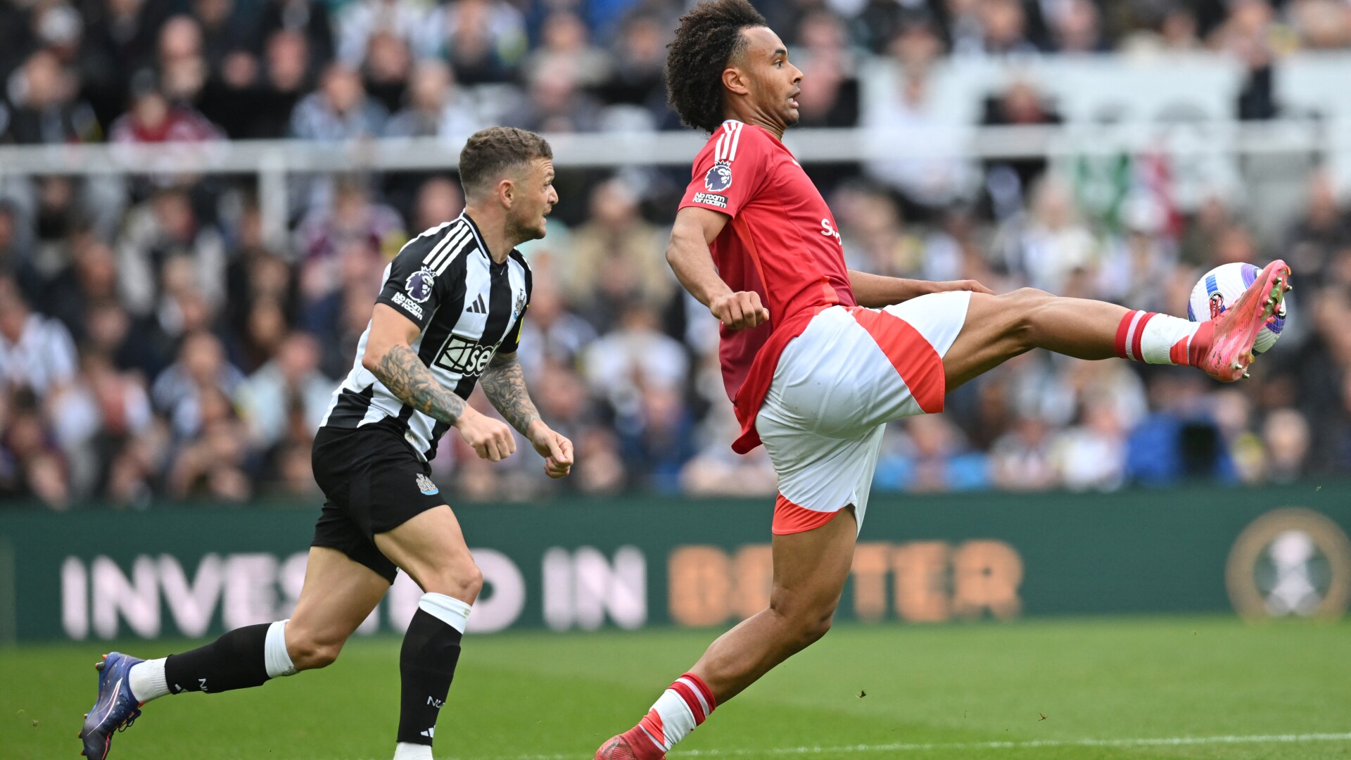 Joshua Zirkzee injury — Manchester United forward suffers apparent ...