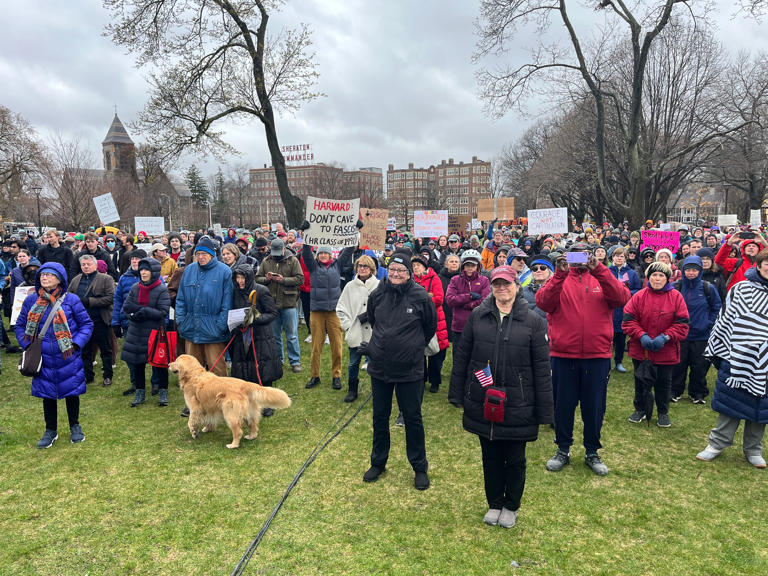 Activists call on Harvard to stand up to Trump Administration, at stake ...