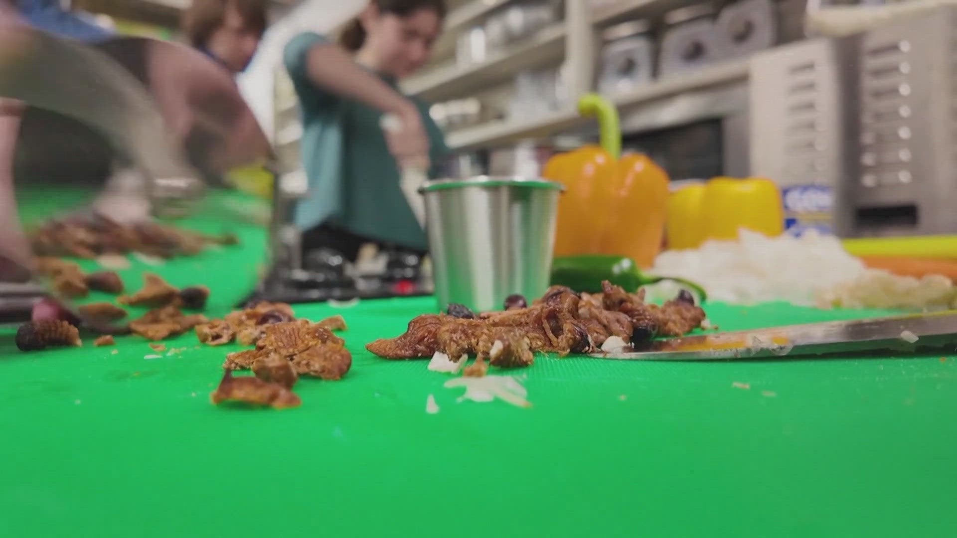 College students learn how to cook with bugs